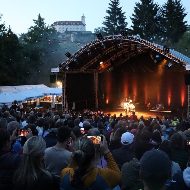 KulturRegion Stuttgart: Vaihingen an der Enz