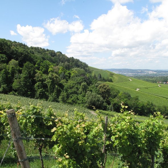 KulturRegion Stuttgart: Fellbach